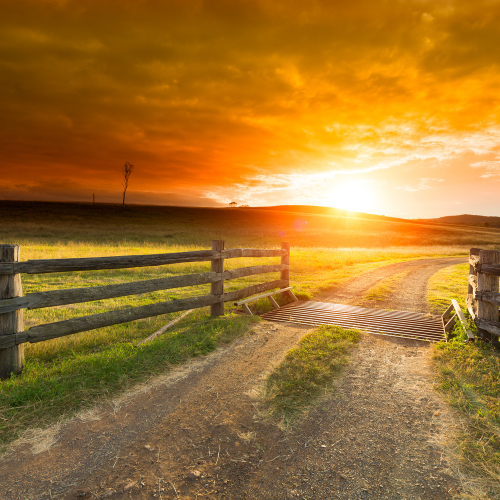 Farm - Horse - Landrum, SC - The Hay Rack